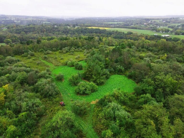 Food Plots on a Dime | Scentlok Technologies